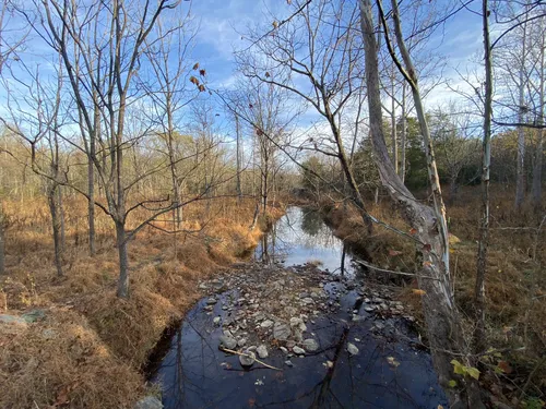 Best Hikes and Trails in Brumley Nature Preserve | AllTrails