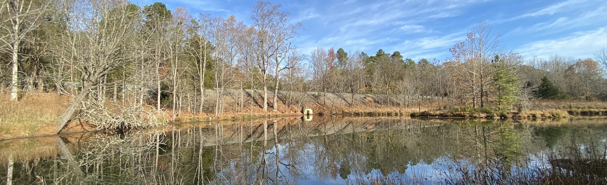 Brumley Forest Nature Preserve North, North Carolina - 849 Reviews, Map ...