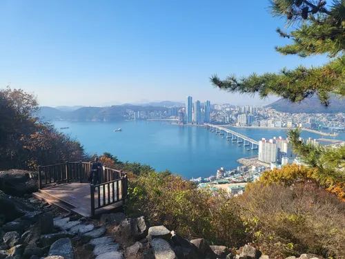 Best Views Trails in Yeongdo-gu | AllTrails