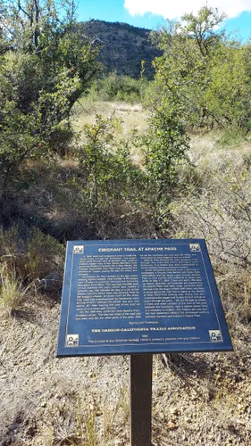 Best Wild Flowers Trails in Bowie | AllTrails