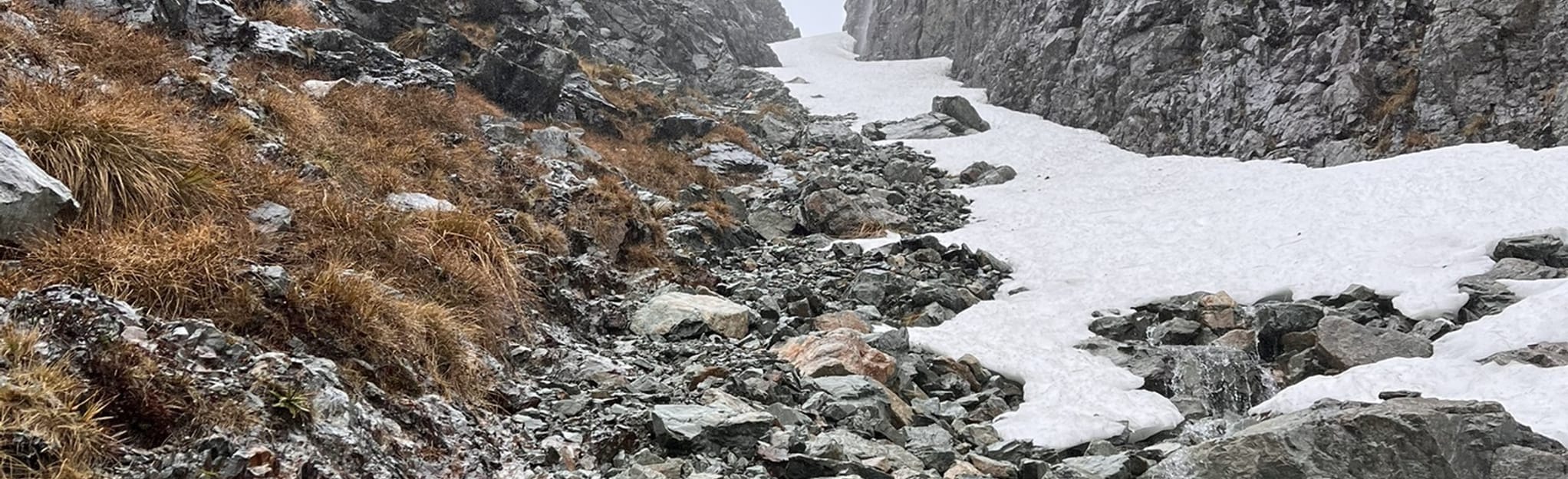 George Lyon Hut to Blue Lake Hut via Moss Pass Route, Nelson-Tasman ...