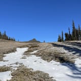 Deer Ridge Trail, Washington - 296 Reviews, Map | AllTrails