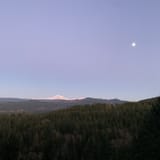 Chuckanut Ridge Trail, Washington - 403 Reviews, Map | AllTrails