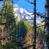 June Lake Trail, Washington - 810 Reviews, Map | AllTrails