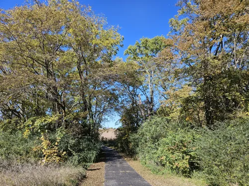 Best Hikes and Trails in Spring Hill | AllTrails