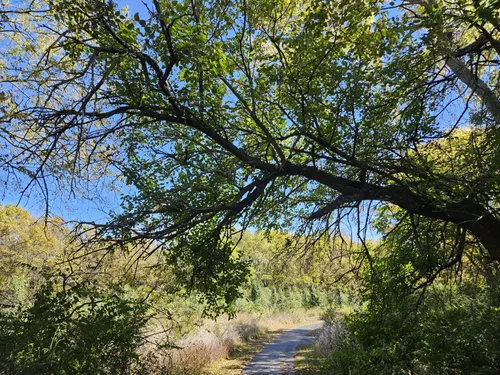 Best Hikes and Trails in Spring Hill | AllTrails