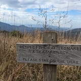 Max Patch Loop, North Carolina - 2,057 Reviews, Map | AllTrails