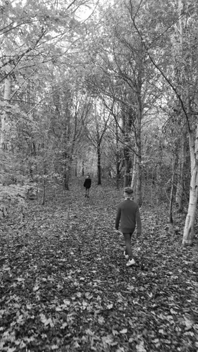 Best Hikes and Trails in Deeping Lakes Nature Reserve | AllTrails