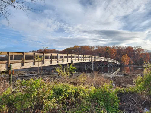 Best Hikes and Trails in Smallwood State Park | AllTrails
