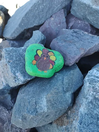 Best 10 Hiking Trails in Burrage Pond Wildlife Management Area | AllTrails