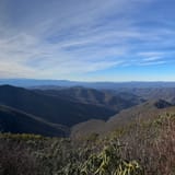 Craggy Pinnacle Trail, North Carolina - 2,740 Reviews, Map | AllTrails