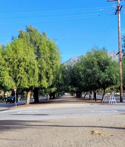 Best Hikes and Trails in Upland | AllTrails