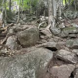 Square Ledge in Pinkham Notch, New Hampshire - 461 Reviews, Map | AllTrails