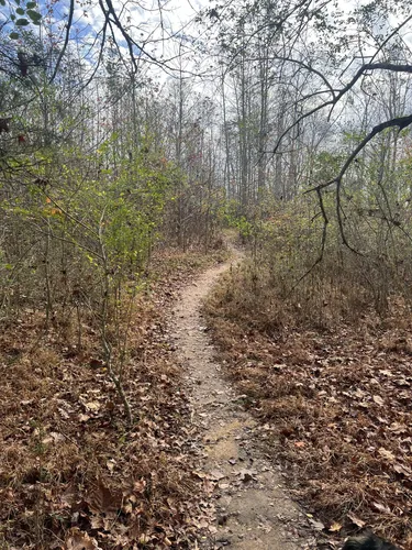 Best Hikes and Trails in Cates Farm Park | AllTrails