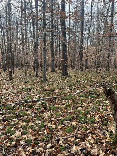 Best Hikes and Trails in Cates Farm Park | AllTrails