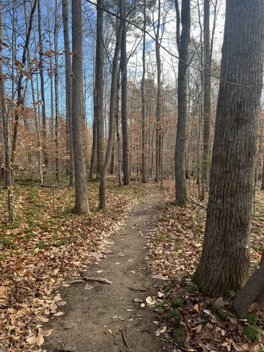 Best Hikes and Trails in Cates Farm Park | AllTrails