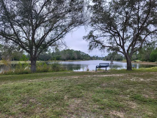 Best Hikes and Trails in Buckingham Community Park | AllTrails