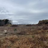 Cook Conservation Area Loop, Massachusetts - 928 Reviews, Map | AllTrails
