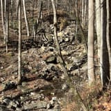 Daniel Ridge Loop, North Carolina - 1,793 Reviews, Map | AllTrails
