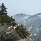 Lower Mill B North Fork Trail, Utah - 1,570 Reviews, Map | AllTrails