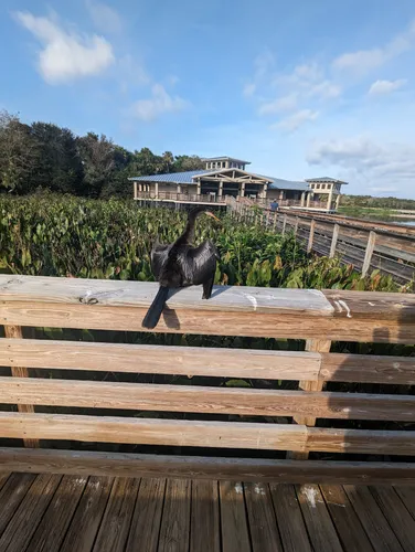 Best Hikes and Trails in Green Cay Nature Center and Wetlands | AllTrails