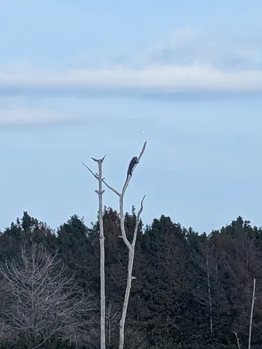 Best Hikes and Trails in Green Cay Nature Center and Wetlands | AllTrails