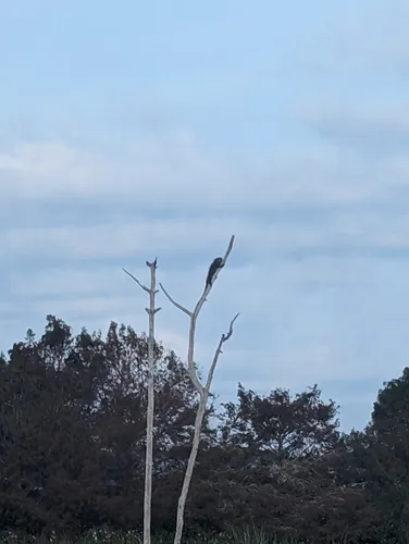 Best Hikes and Trails in Green Cay Nature Center and Wetlands | AllTrails