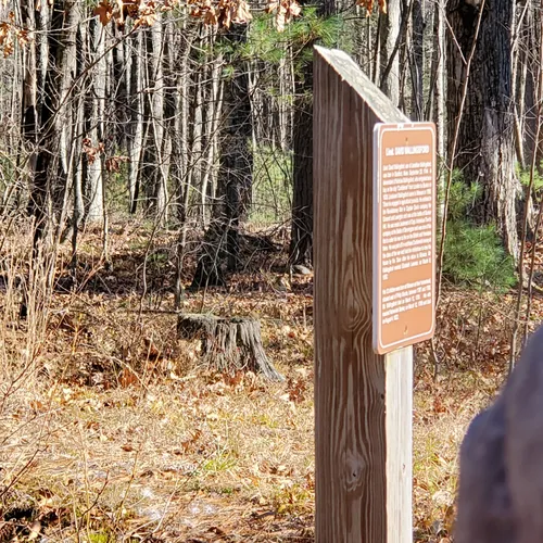 Best Hikes and Trails in Big Dickerman Town Forest | AllTrails