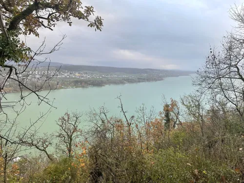 Best Hikes and Trails in Magglingen | AllTrails