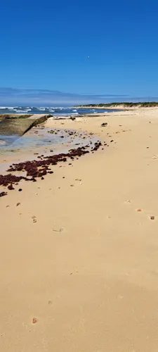 10 Best Trails and Hikes in Port Elizabeth | AllTrails