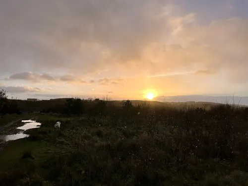 Best Hikes and Trails in Tullos Hill | AllTrails