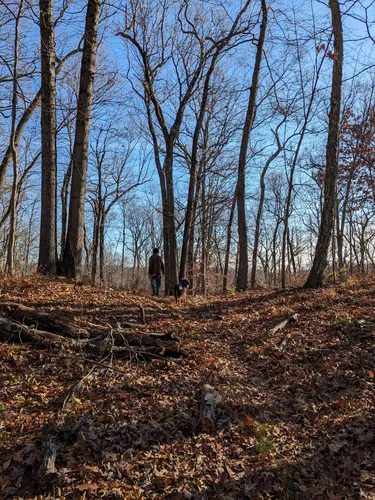 Best Hikes and Trails in Sunny Ridge Preserve | AllTrails