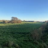 Lydiate Circular, Merseyside, England - 395 Reviews, Map | AllTrails