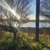 Lydiate Circular, Merseyside, England - 395 Reviews, Map | AllTrails