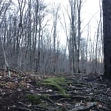 Summit Lake, West Virginia - 16 Reviews, Map | AllTrails