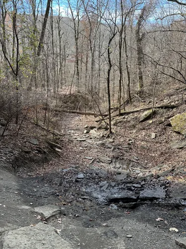 Best Hikes and Trails in Combs | AllTrails