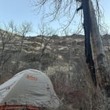 Umtanum Creek Canyon Trail, Washington - 133 Reviews, Map | AllTrails