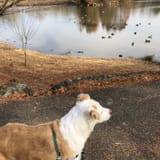 Wilson Park Trail, Pennsylvania - 362 Reviews, Map | AllTrails