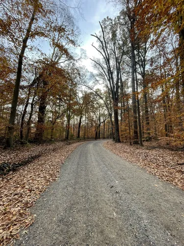 Best Hikes and Trails in Wye Island Natural Resource Management Area ...