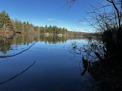 Best Hikes and Trails in Sutton State Forest | AllTrails