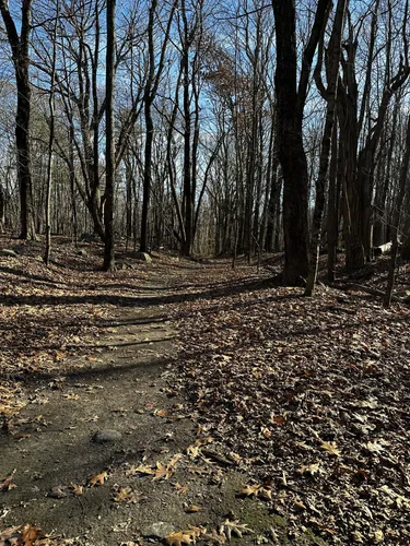 Best Hikes and Trails in Sutton State Forest | AllTrails