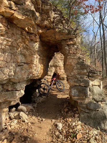 Best Forest Trails in High Ground Bike Preserve | AllTrails