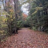 Mount Elmore , Vermont - 1,288 Reviews, Map | AllTrails