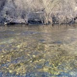 Goodwin Dam Recreation Area Trail, California - 74 Reviews, Map | AllTrails