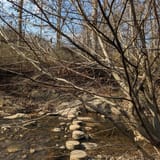 Bull Run Occoquan Trail to Hemlock Overlook via Fountainhead Regional ...