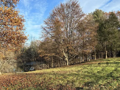 Best Hikes and Trails in Macomber Estate | AllTrails