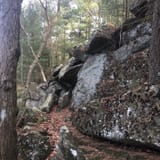 Sunset Rocks Trail, Pennsylvania - 1,012 Reviews, Map | AllTrails