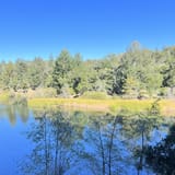 Lake Lagunitas, California - 645 Reviews, Map | AllTrails