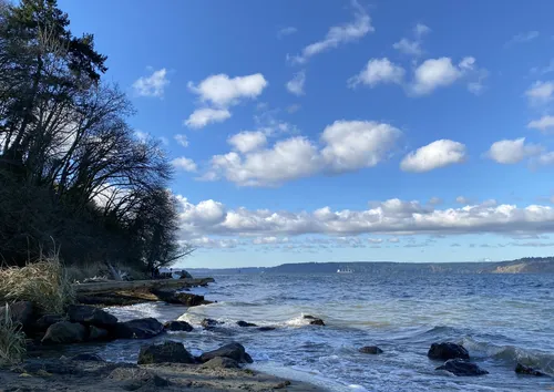 2023 Best Walking Trails in Dash Point State Park | AllTrails
