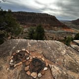 Dinosaur Tracks Trail, Utah - 744 Reviews, Map | AllTrails
